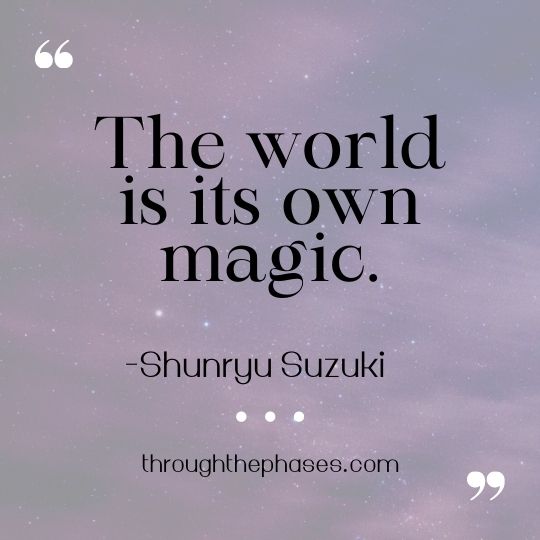 62 Inspirational Quotes About Magic To Inspire You To Believe