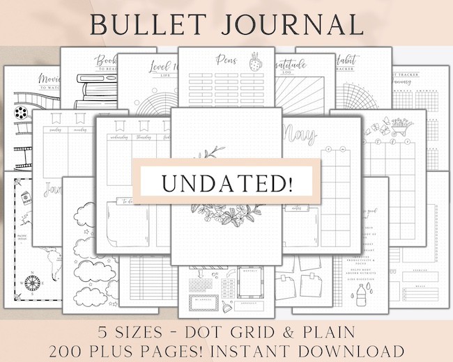 The 6 Best Premade Bullet Journals to Save You Time in 2024 - Through ...