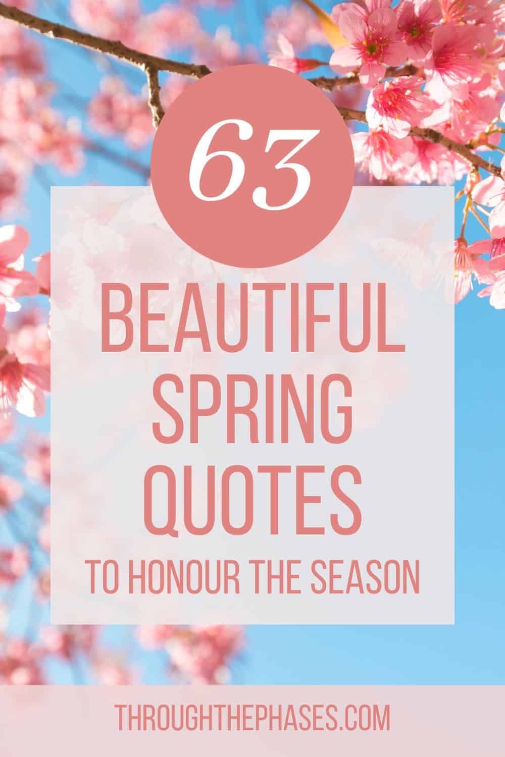 63 Beautiful Spring Quotes to Honour the Season - Through the Phases